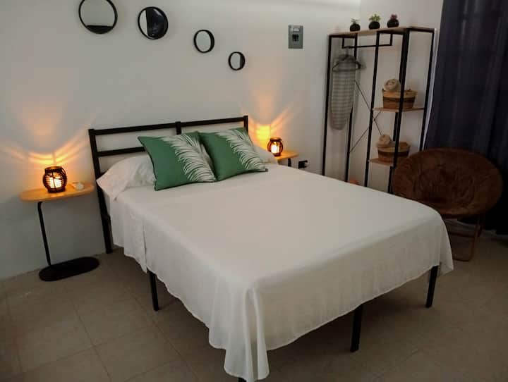 Confortable Departamento Zona Centrica - Nuevo León