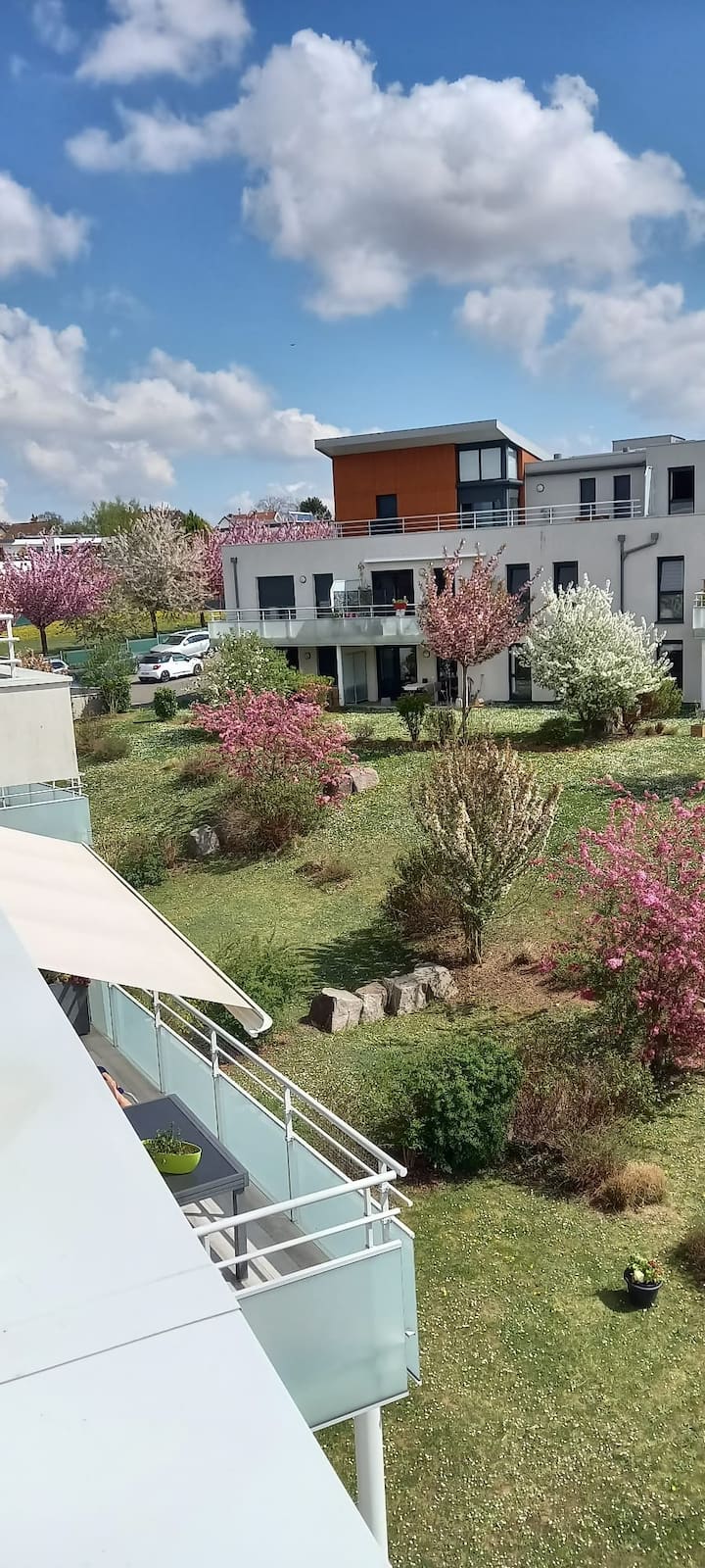 Spacieux Appartement 3 Pièces En Attique - Elsass