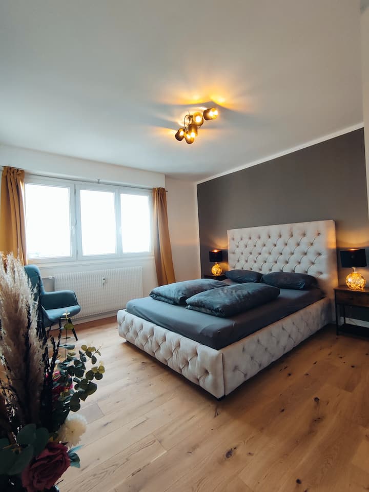 T2 Meublé, Vue Exceptionnelle, 1 à 10 Mois - Schiltigheim