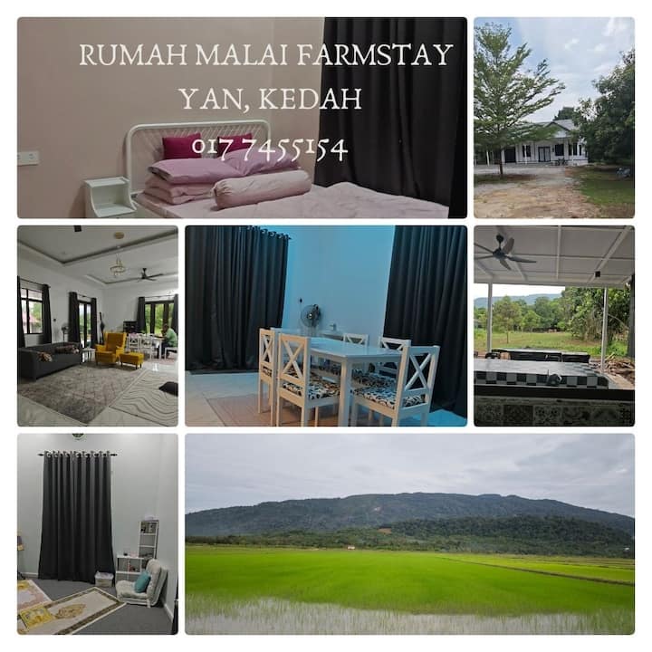Homestay Di Yan Kedah
Rumah Malai Farmstay - Guar Chempedak
