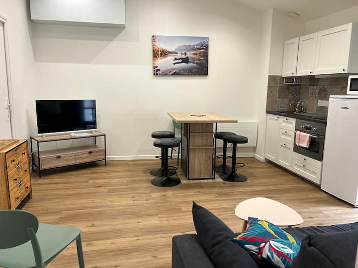 Agréable T3 Au Port De Riberou Saujon - Saujon