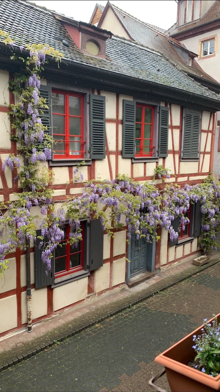Centre Historique + Garage Privé | Duplex Lumineux - Colmar