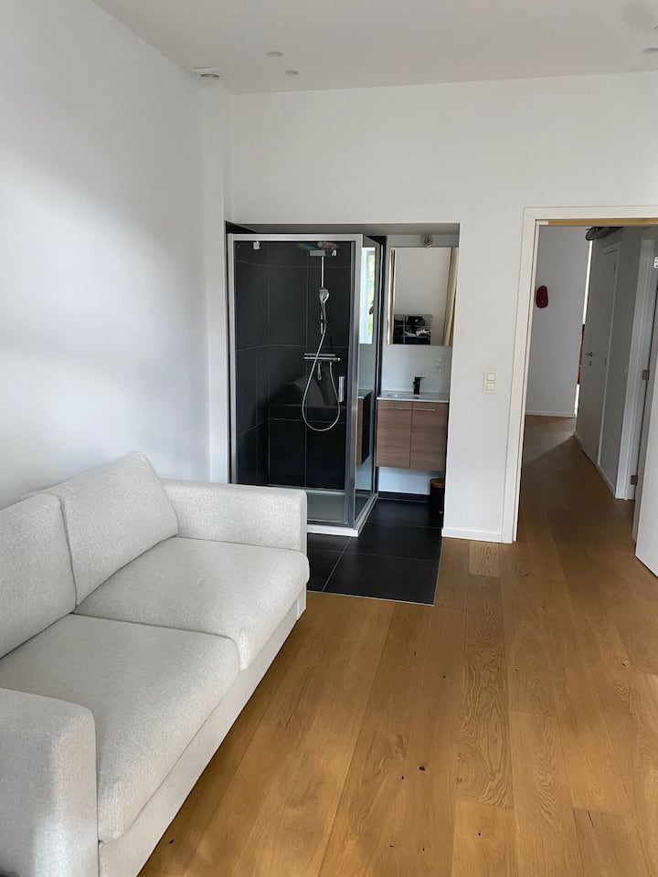 Chambre Schaerbeek - Salle De Douche Privative - Brussels