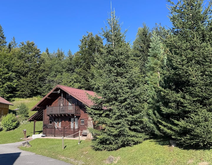 Joli Chalet Familial Aux Carroz Darâches - Flaine