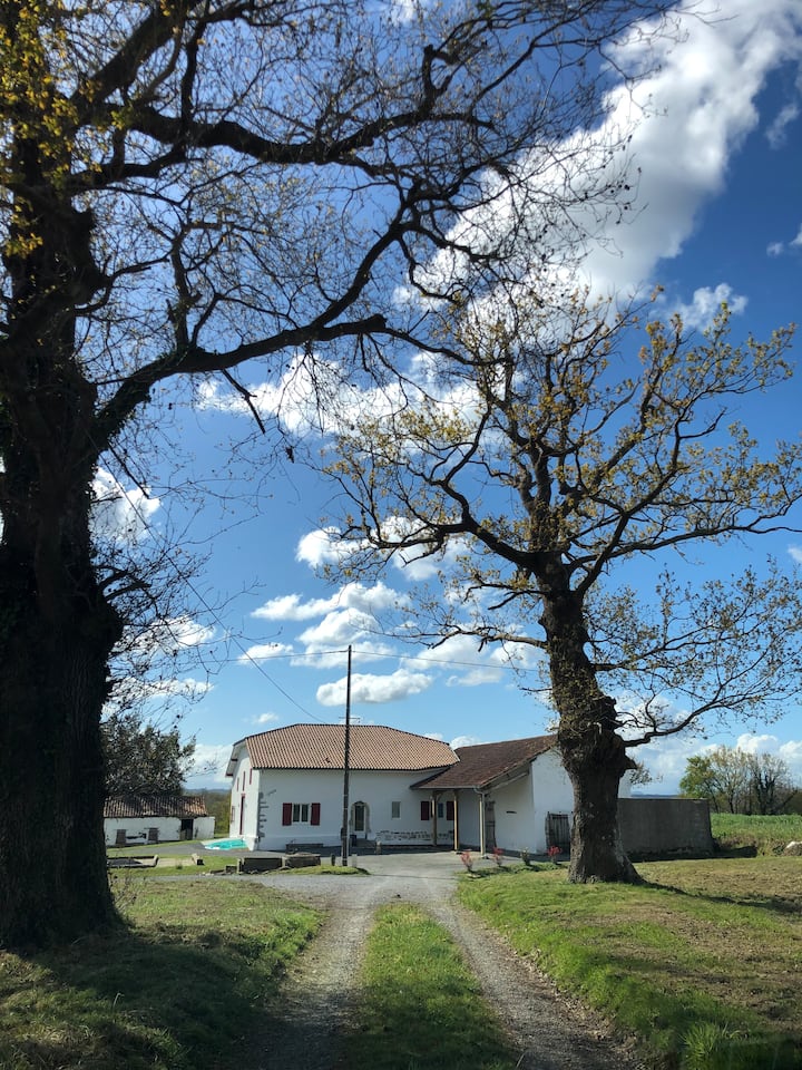 Havre De Paix - Peyrehorade