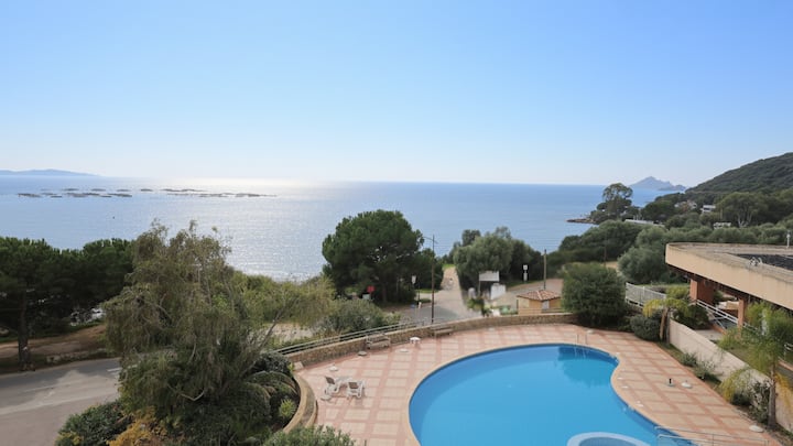 Les Sanguinaires N°31 T2 Vue Mer Piscine  Plage - Ajaccio