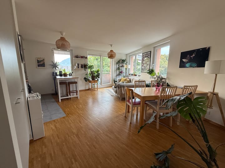 Cosy And Sunny 2bd Apart In Geneva - Genf