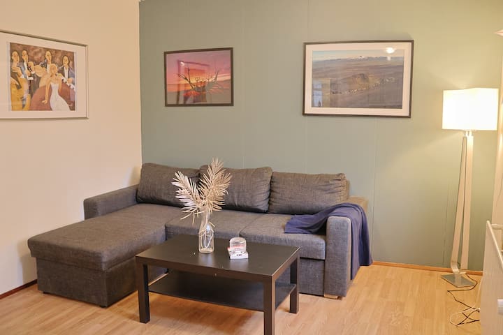 Lagerta Downtown Reykjavík Apartment - Reikiavik