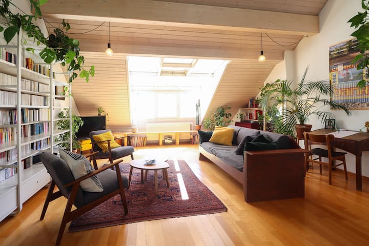 Magnifique Duplex - Lausana