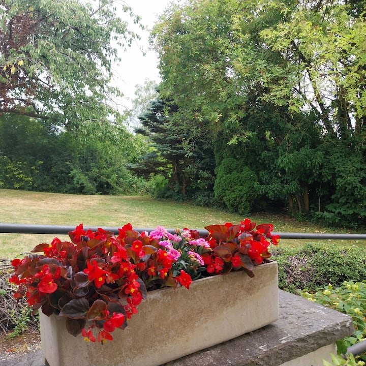 Idylische Wohnung An Der Grenze - Winterthur