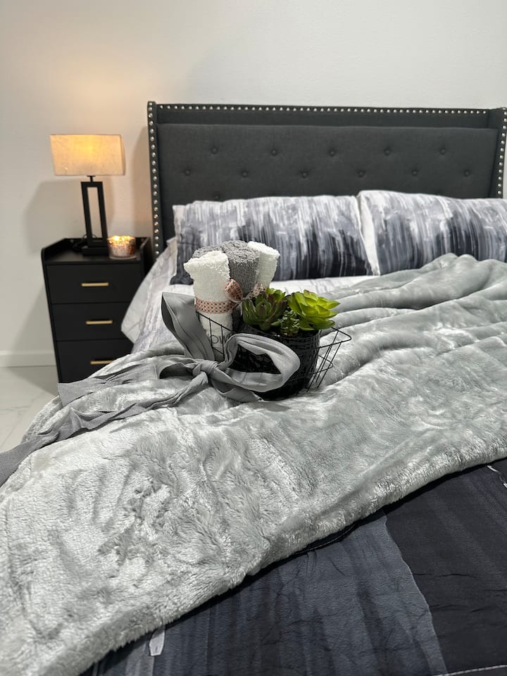 Peaceful Tampa Getaway – Cozy 2br Apartment - Hillsborough County, FL