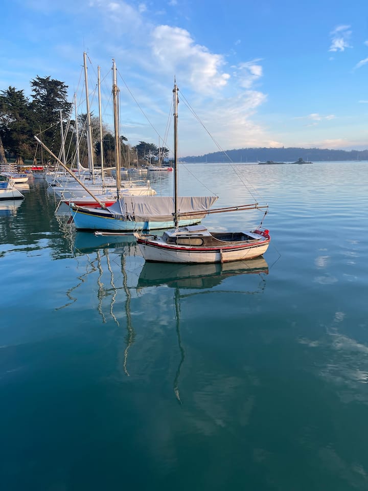 Nid Le Pin De Rance - Dinard