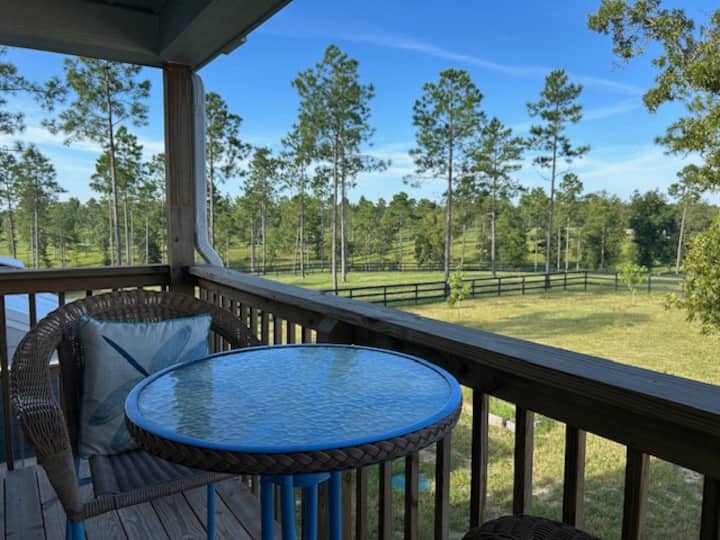 Serene Horse Farm Barn Apartment - Aiken State Park, Windsor