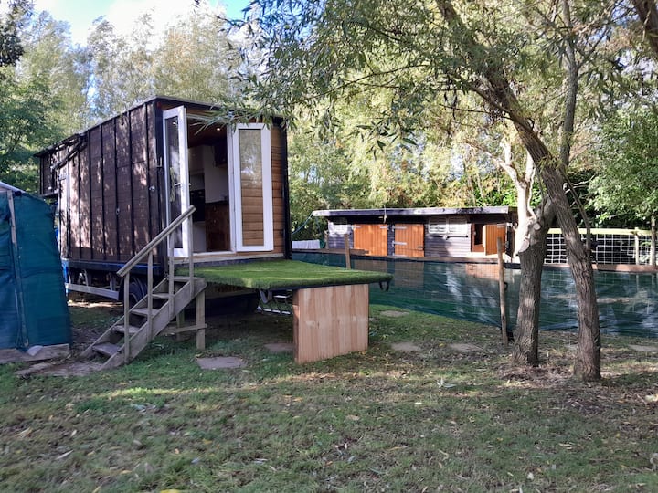 Sleep-in Beauty - Steyning