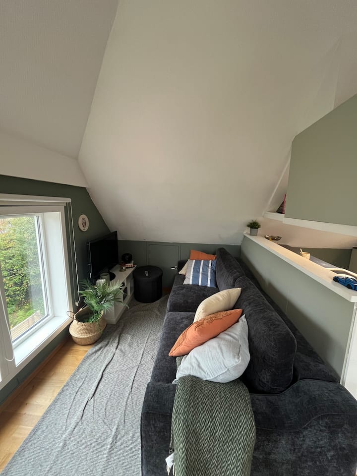 Sjarmerende 2-roms Loftsleilighet Til Leie - Bergen