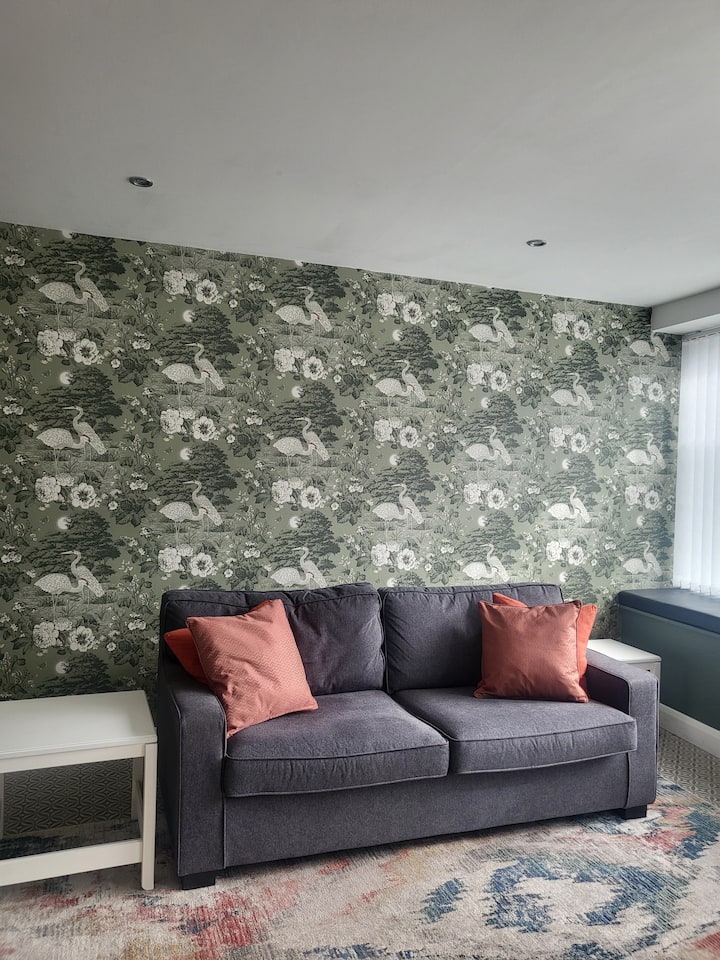 The New Town Nest - Northern Ireland