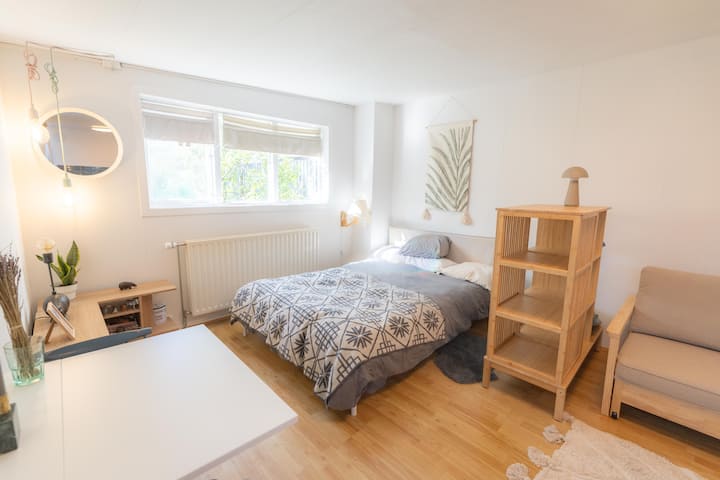 Little Green Hut - Reykjavík