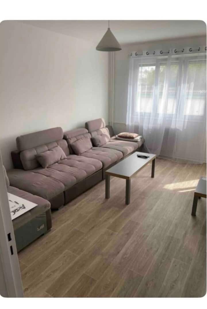 Grand Logement Familial Au Cœur De Cernay - Cernay