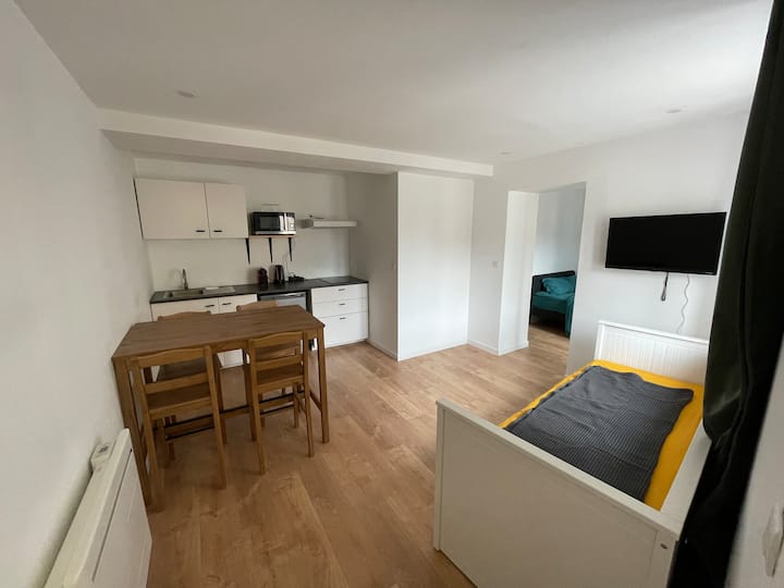 Appartement T2 Proche Cnpe Bugey Et Pipa - Lagnieu