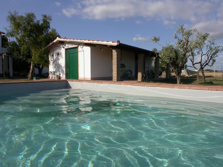 Dependance Nel Giardino Accanto Alla Piscina - Montalto di Castro