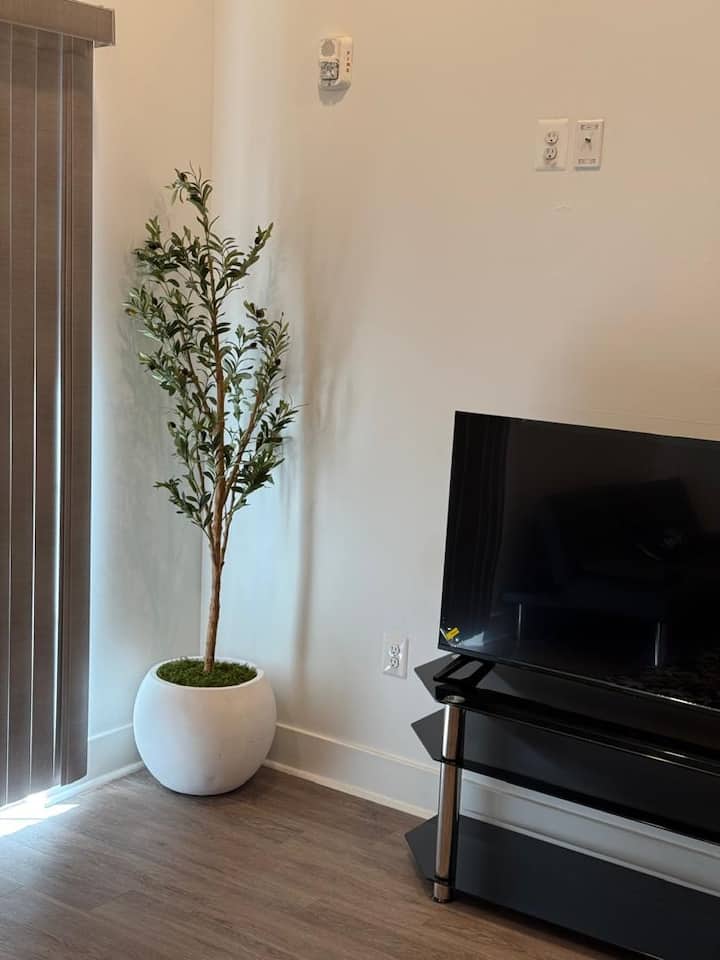 Modern 1 Bedroom Apartment In Downtown Baltimore - Baltimore, MD
