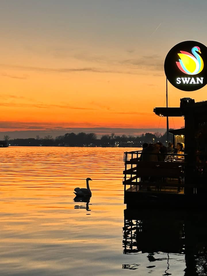 Cozy Sunset Water-home Swan - Belgrad