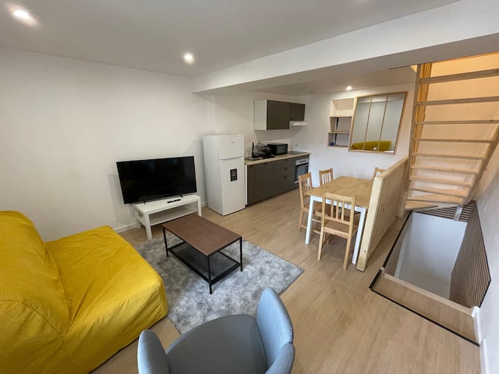 Appartement Triplex T5 Proche Cnpe Bugey,  Pipa - Chaley