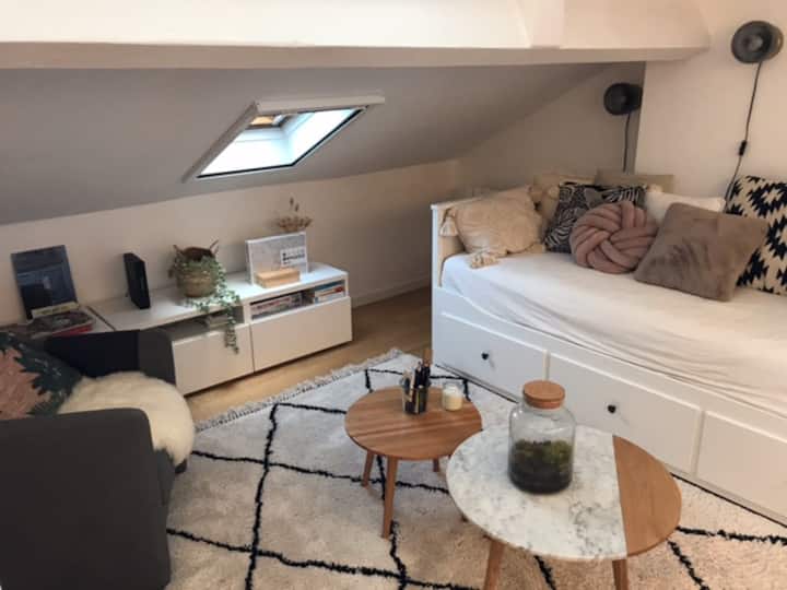 Studio Rénové Meublé Tout Confort Au Dernier éTage - Lyon