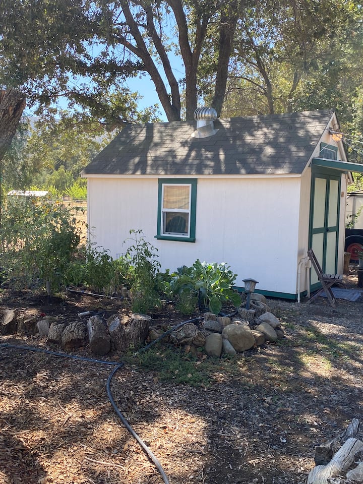 Cabin 2 At Nopal Studio - Frog Pond, Clearlake Oaks