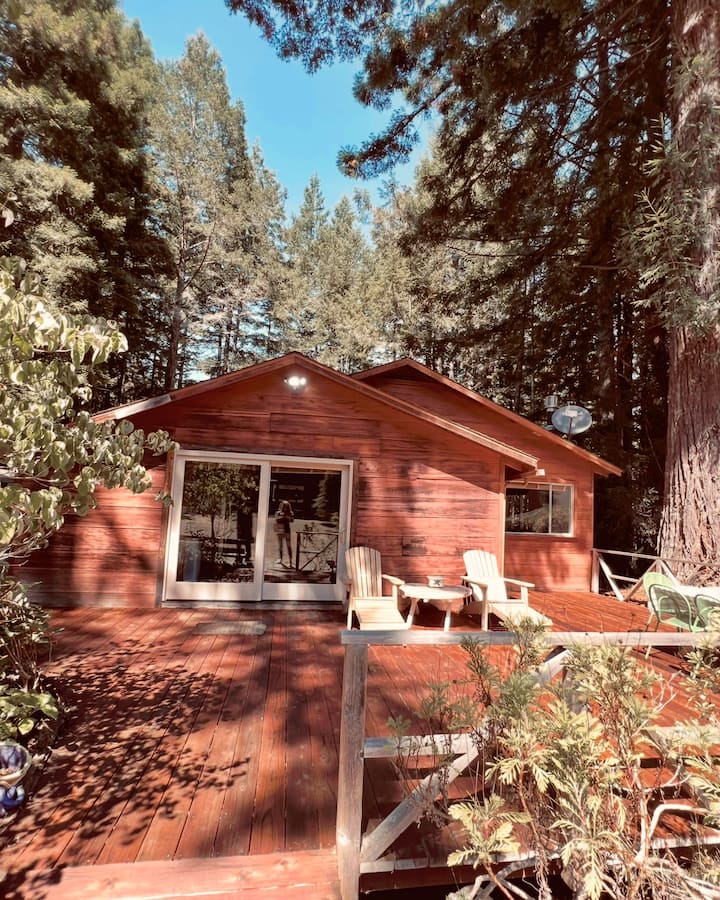 Beautifully Refurbished Redwood Cabin - Mendocino, CA