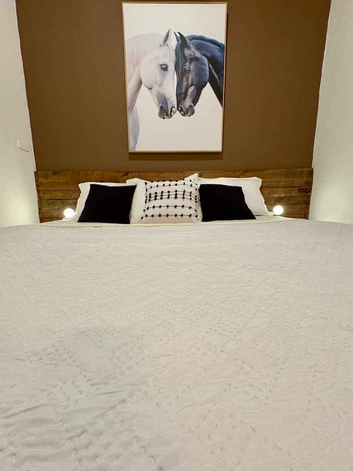 Santurce Studio- Room X2 - San Juan, Puerto Rico