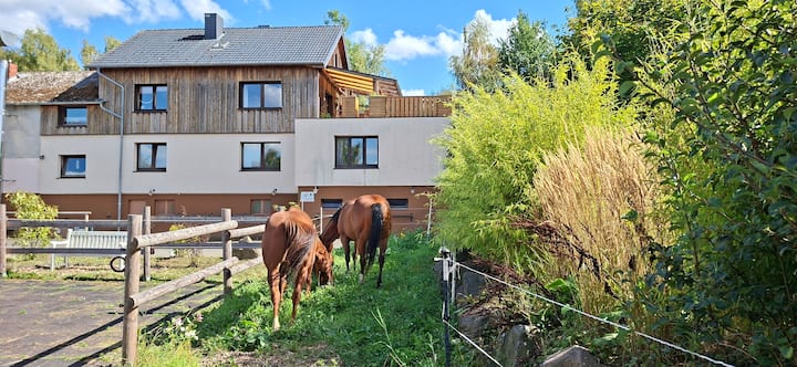 Schöne, Große Ferienwohnung In Der Natur - Morsbach