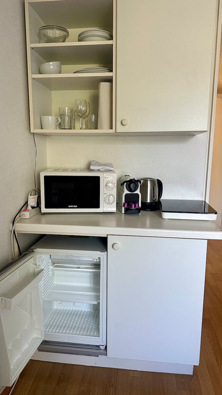 Studio/ Zuerich /Old Town/ Best Place (54) - Zürich