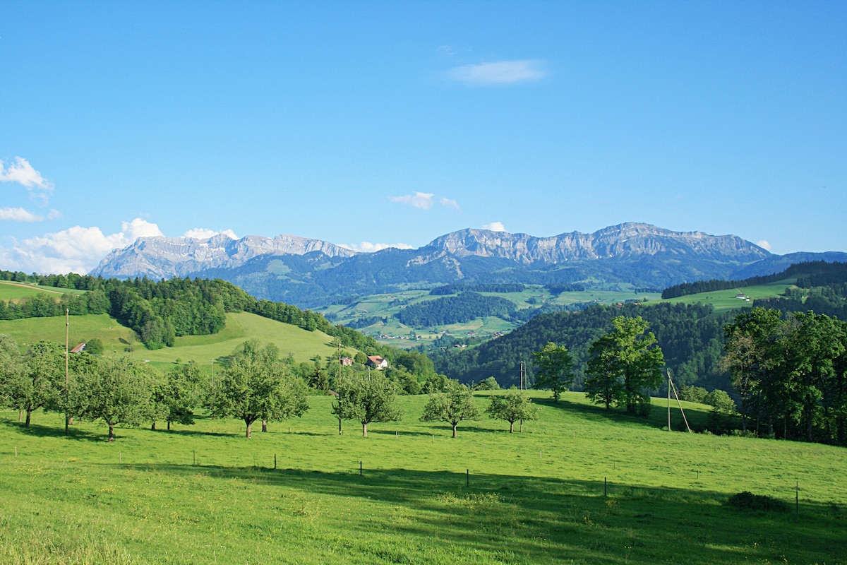 Swiss-Lodge: 7-13 personas, jacuzzi, silla de ruedas, naturaleza ...
