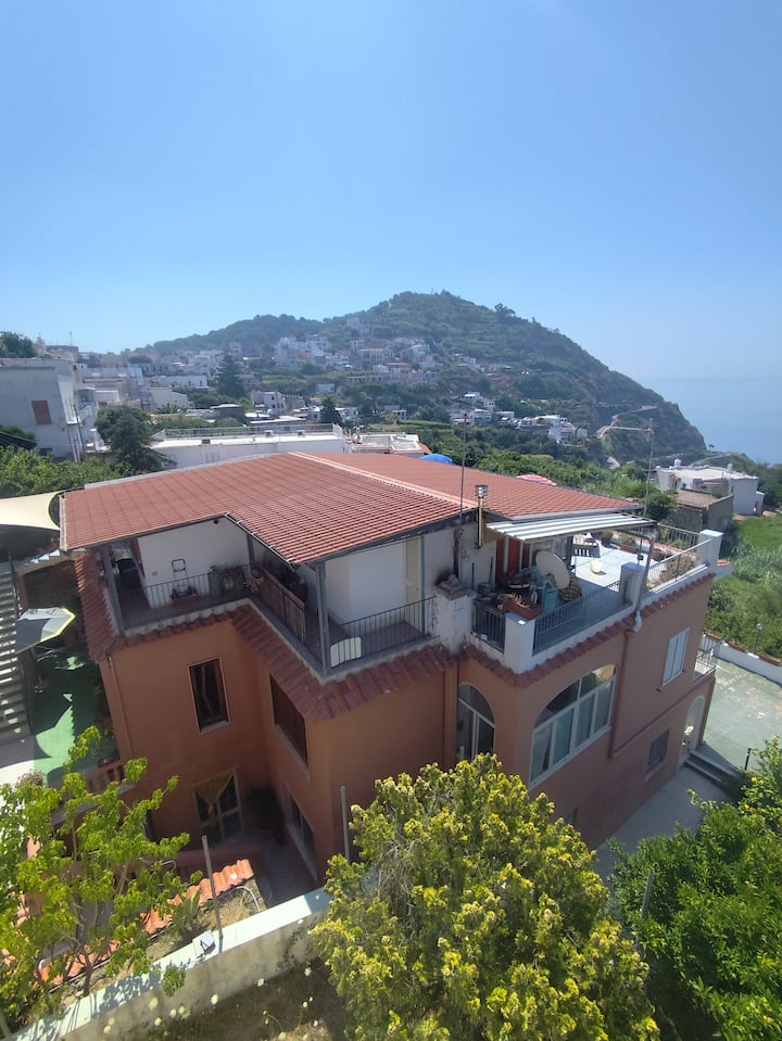 Appartamento - Ischia