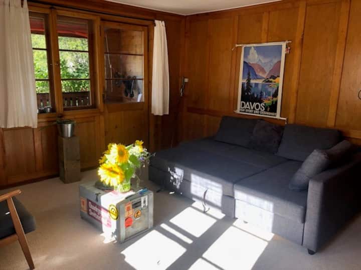 Wef Appartement + 1 Parkspot - Davos