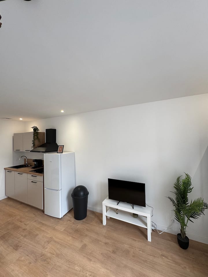 Charmant Studio Cosy Au Cœur De Vierzon - Vierzon
