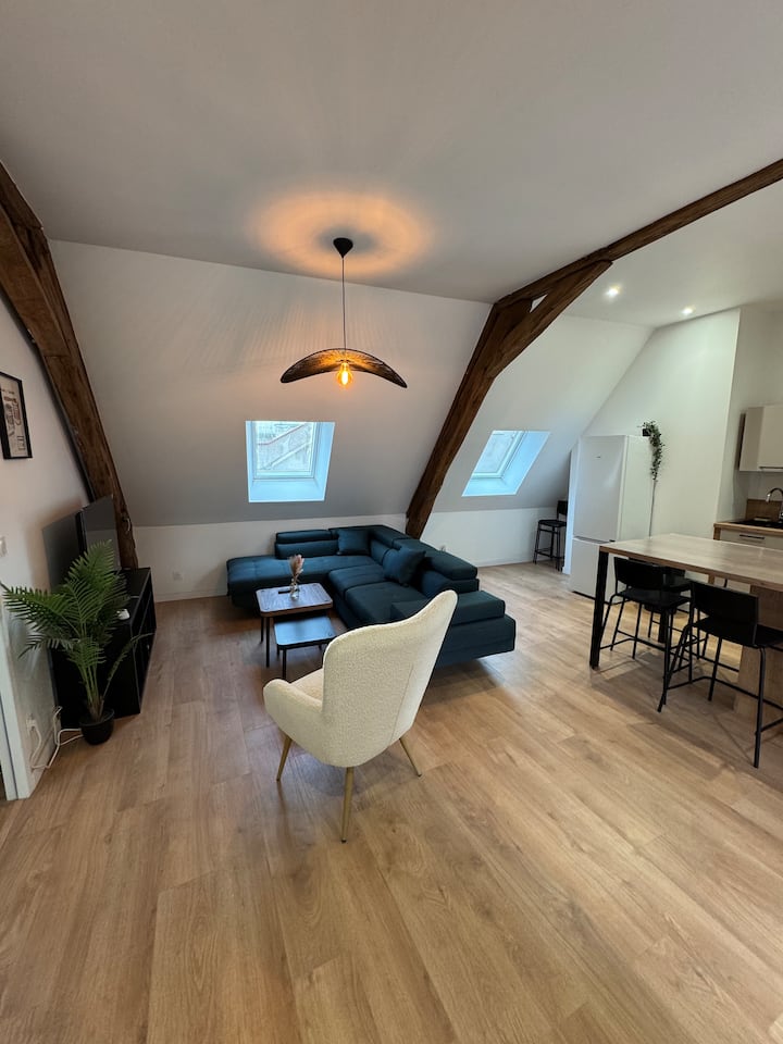 Séjour Authentique Aux Portes De La Sologne - Vierzon