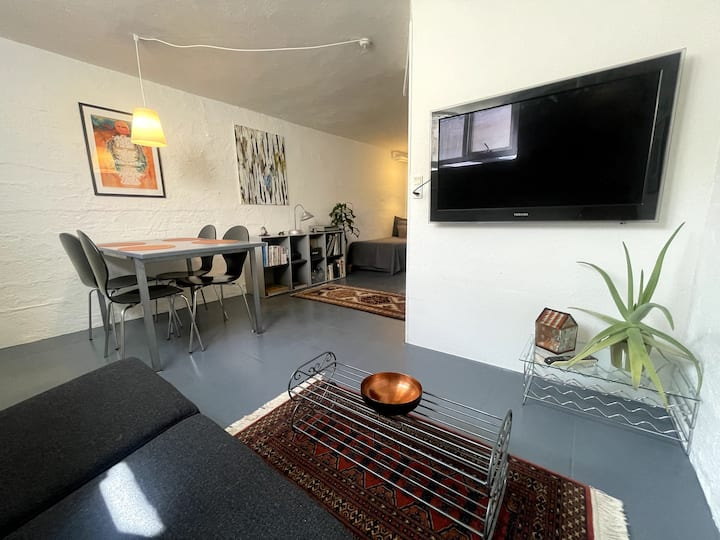 Hyggelig Lejlighed Tæt På Centrum, Natur Og Sdu. - Odense