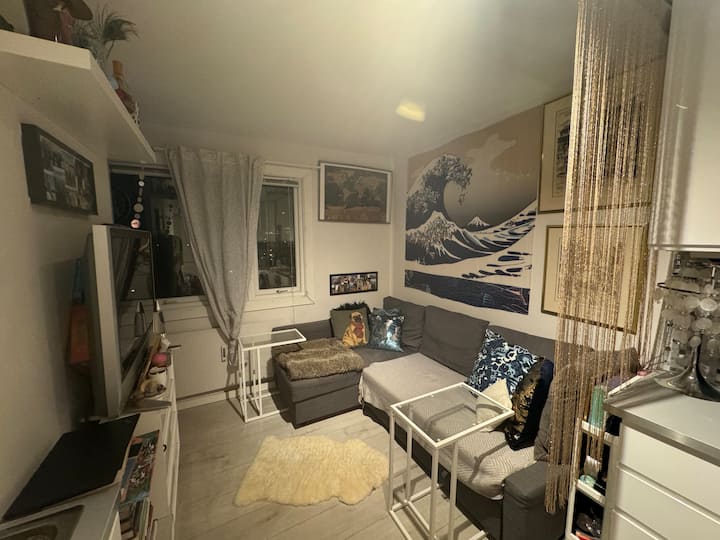 Quiet Apartment Close To City And Airport Transfer - Oslo