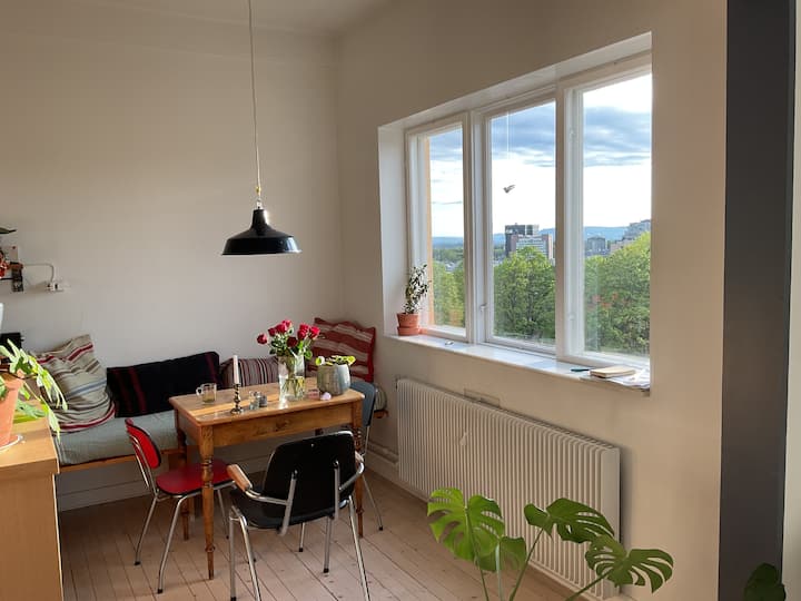 Leilighet Med Utsikt I Nydelig Sentumsnært Område - Oslo