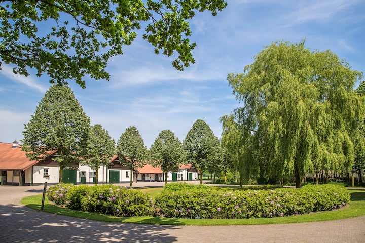 Appartement Culitsrode - Arendonk