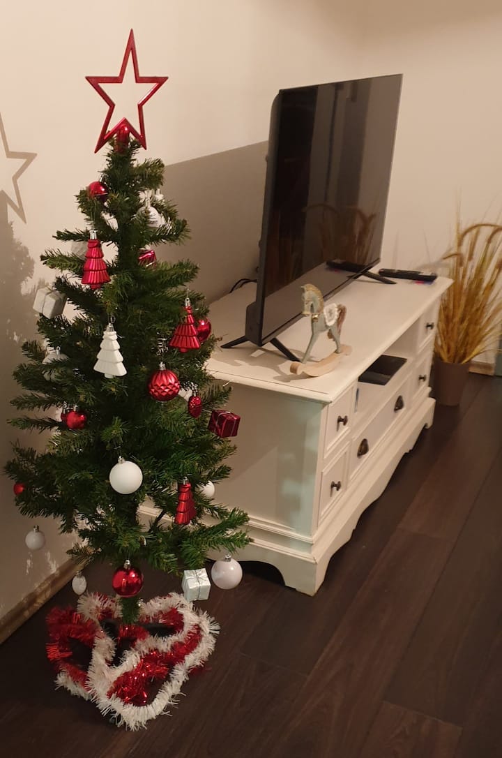 2p Calme Propre 15 Min De Strasbourg Garage&balcon - Lingolsheim