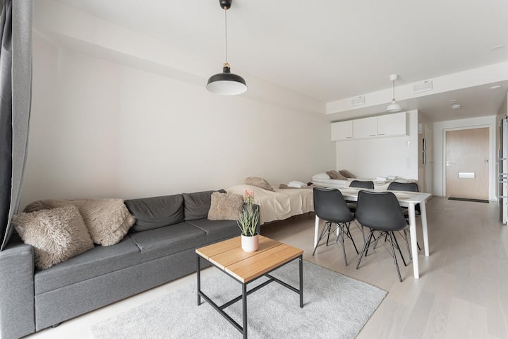 Modern Studio With Own Glazed Balcony For 3 People - Tampere