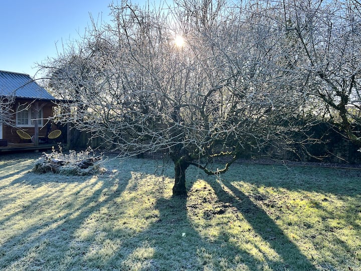 Apple Orchard Cabin - Pevensey