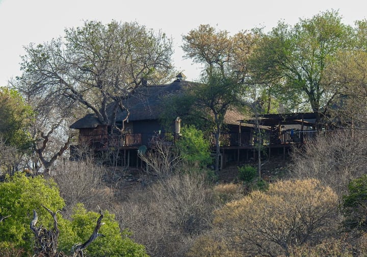 Big5 Safari Escape - B&b (Game Drive Incl) - Phalaborwa