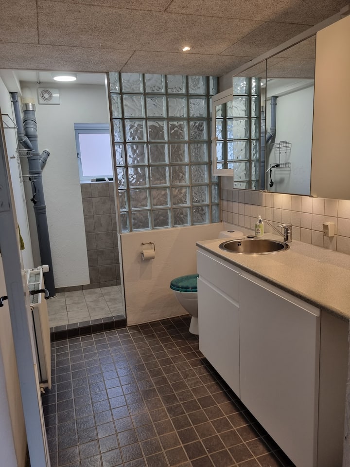 Basement Apartmnt.  Possible To Charge Your El Car - Aabenraa