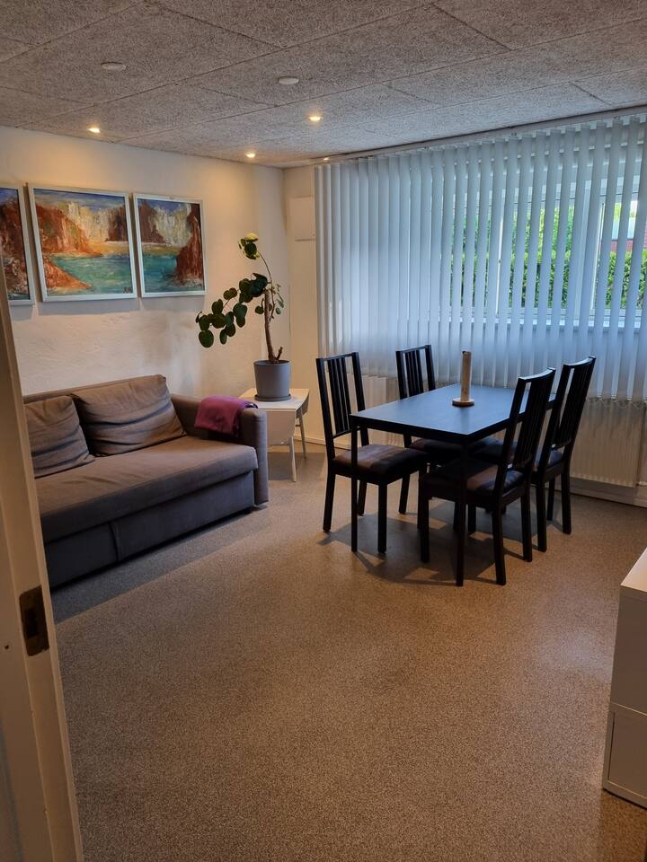 Basement Apartm.  Possible To Chrg An Electric Car - Aabenraa