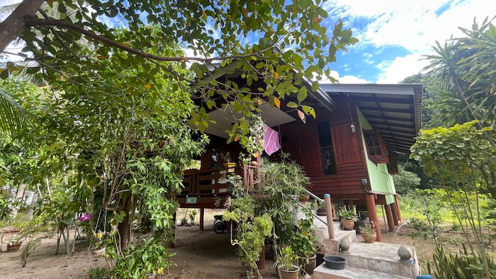 Chaloklum Cosy Cabin - Ko Pha Ngan
