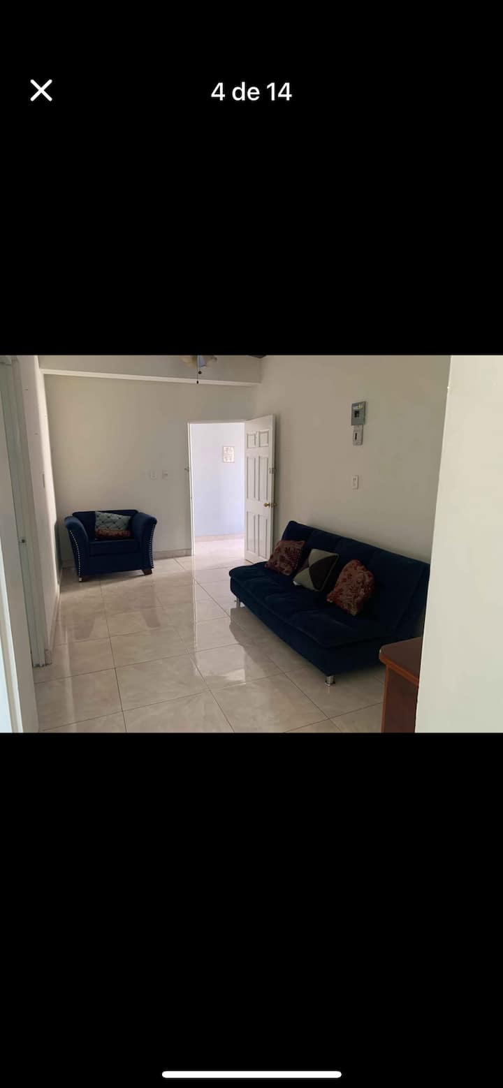 Departamento, Cómodo Y Céntrico (4) - Torreón